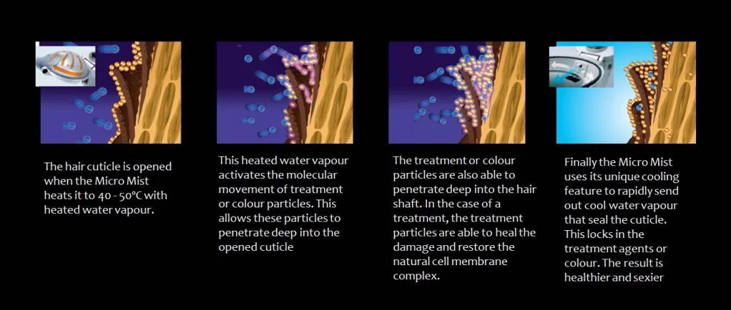 Micro Mist Hair Treatment | PLEIJ Salon + Spa